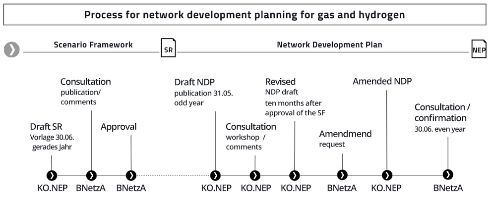 terranets bw: Network development plan