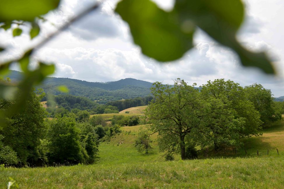 Scoping-Verfahren eröffnet - terranets bw
